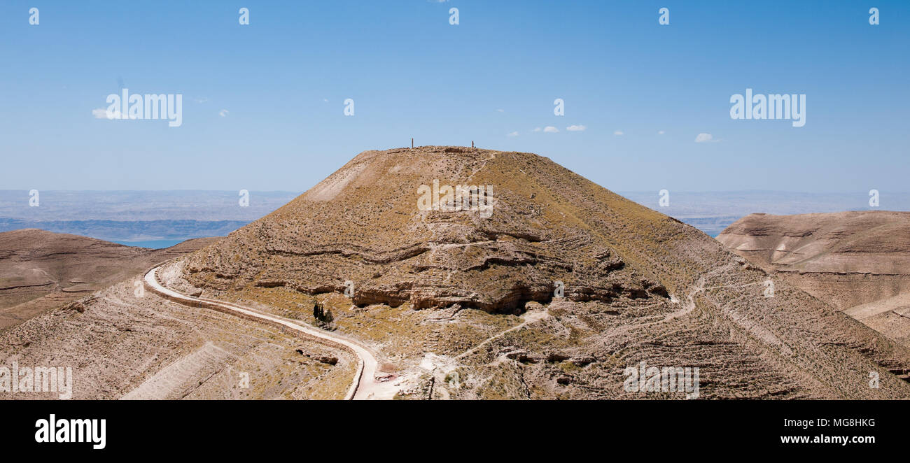 Machaerus hi-res stock photography and images - Alamy