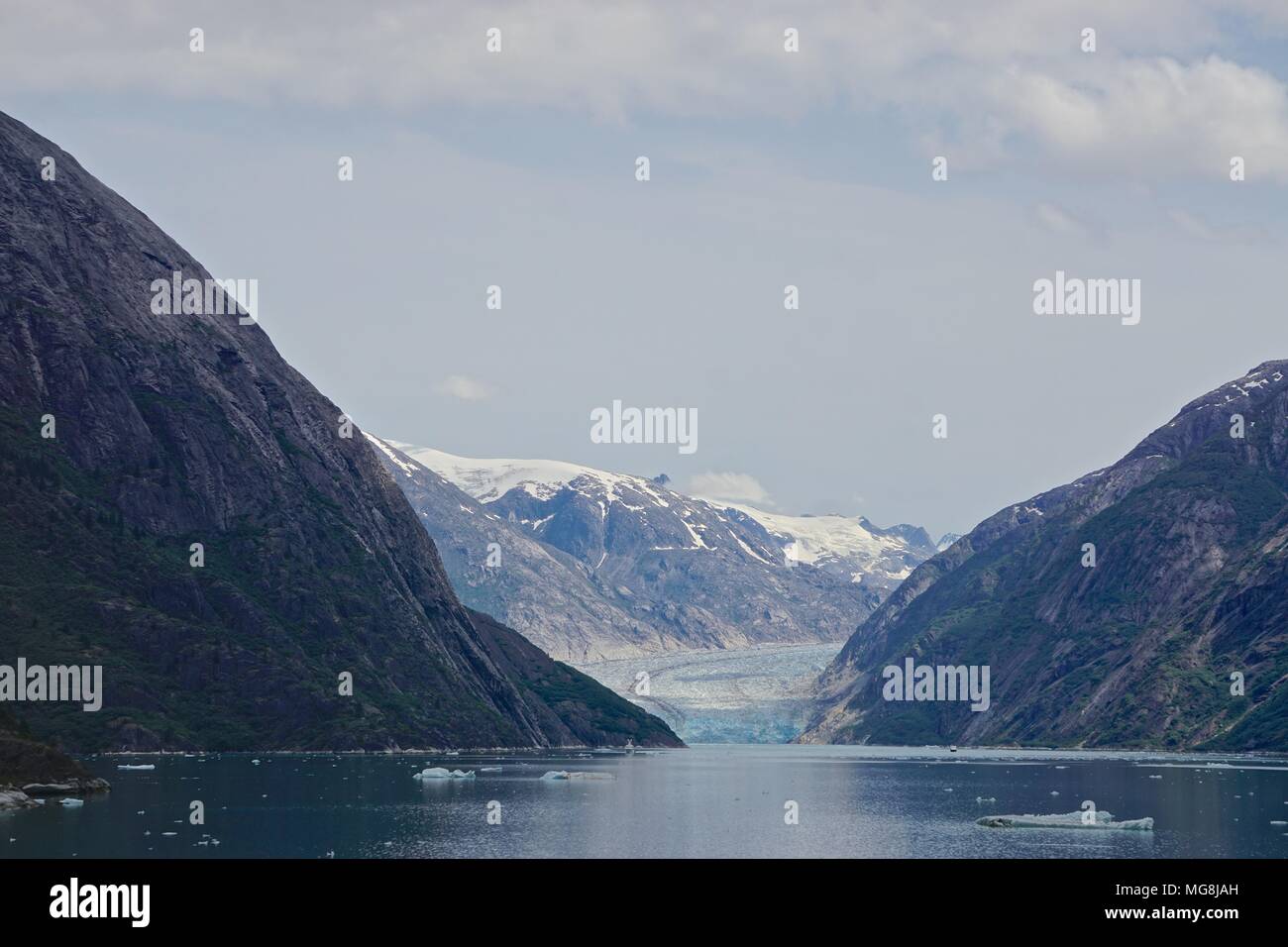 Endicott Arm, Alaska, USA: View of the Dawes Glacier at the end of a ...