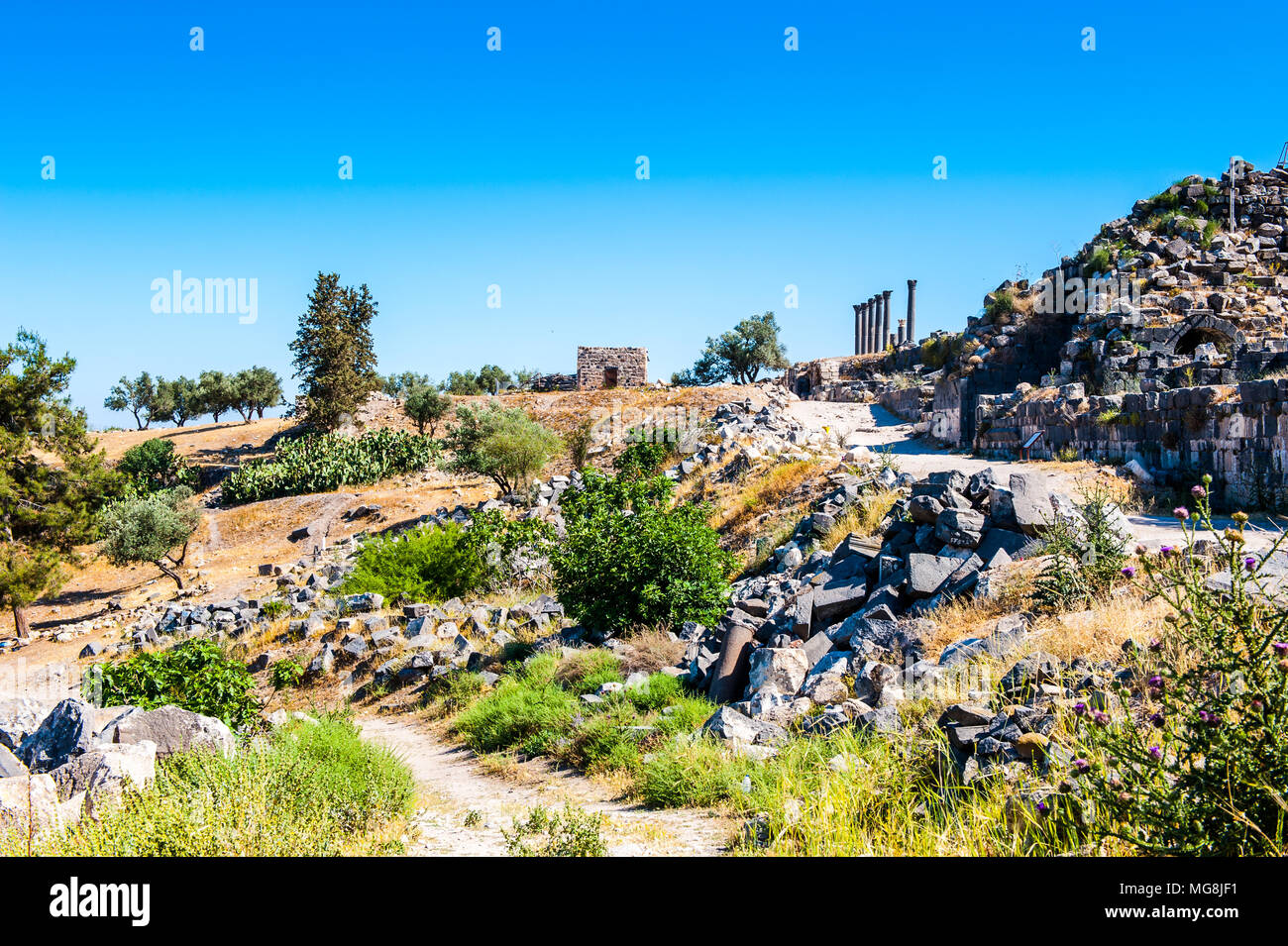 Ruins of the ancient city of Gadara, modern Jordan Stock Photo - Alamy
