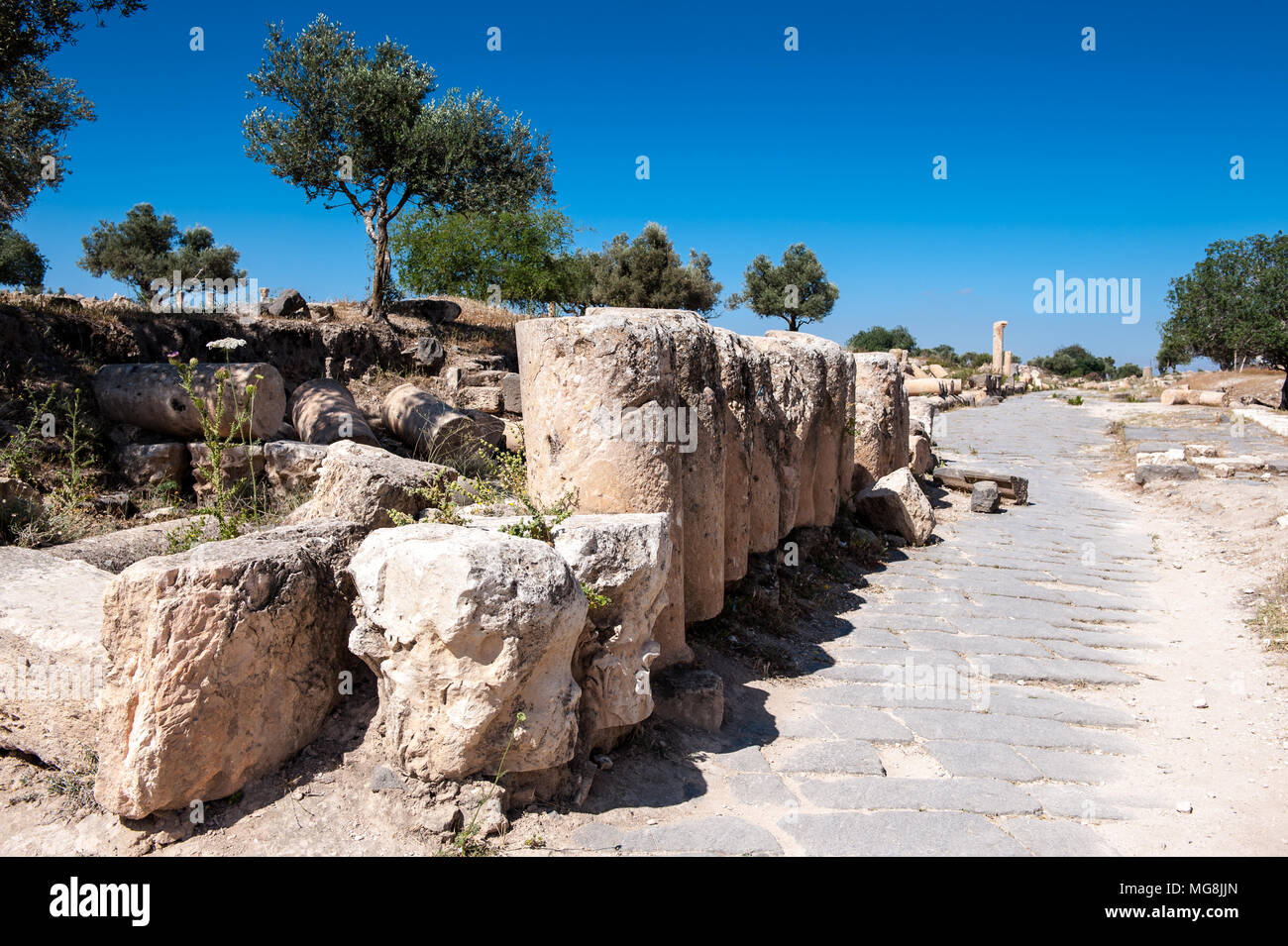 Colums of the ancient city of Gadara, modern Jordan Stock Photo - Alamy