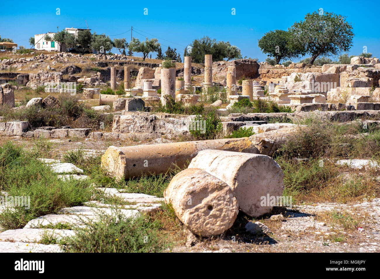 Roman colums of the ancient city of Gadara, modern Jordan Stock Photo ...