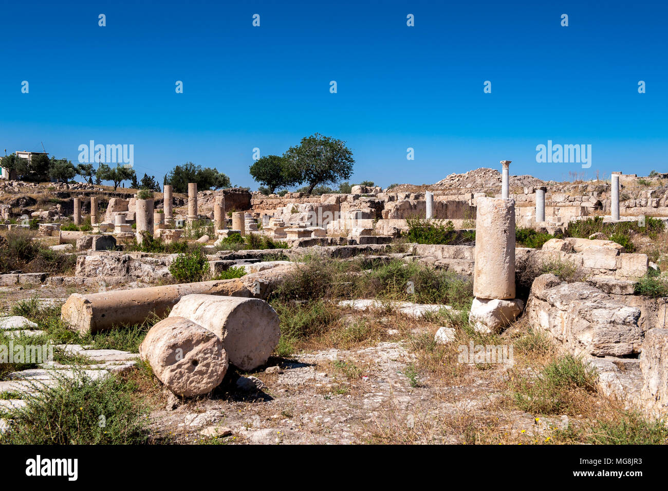 Roman colums of the ancient city of Gadara, modern Jordan Stock Photo ...