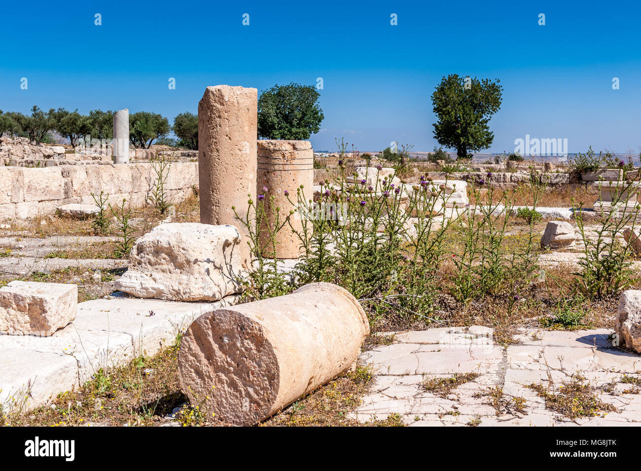 Gadara park hi-res stock photography and images - Alamy