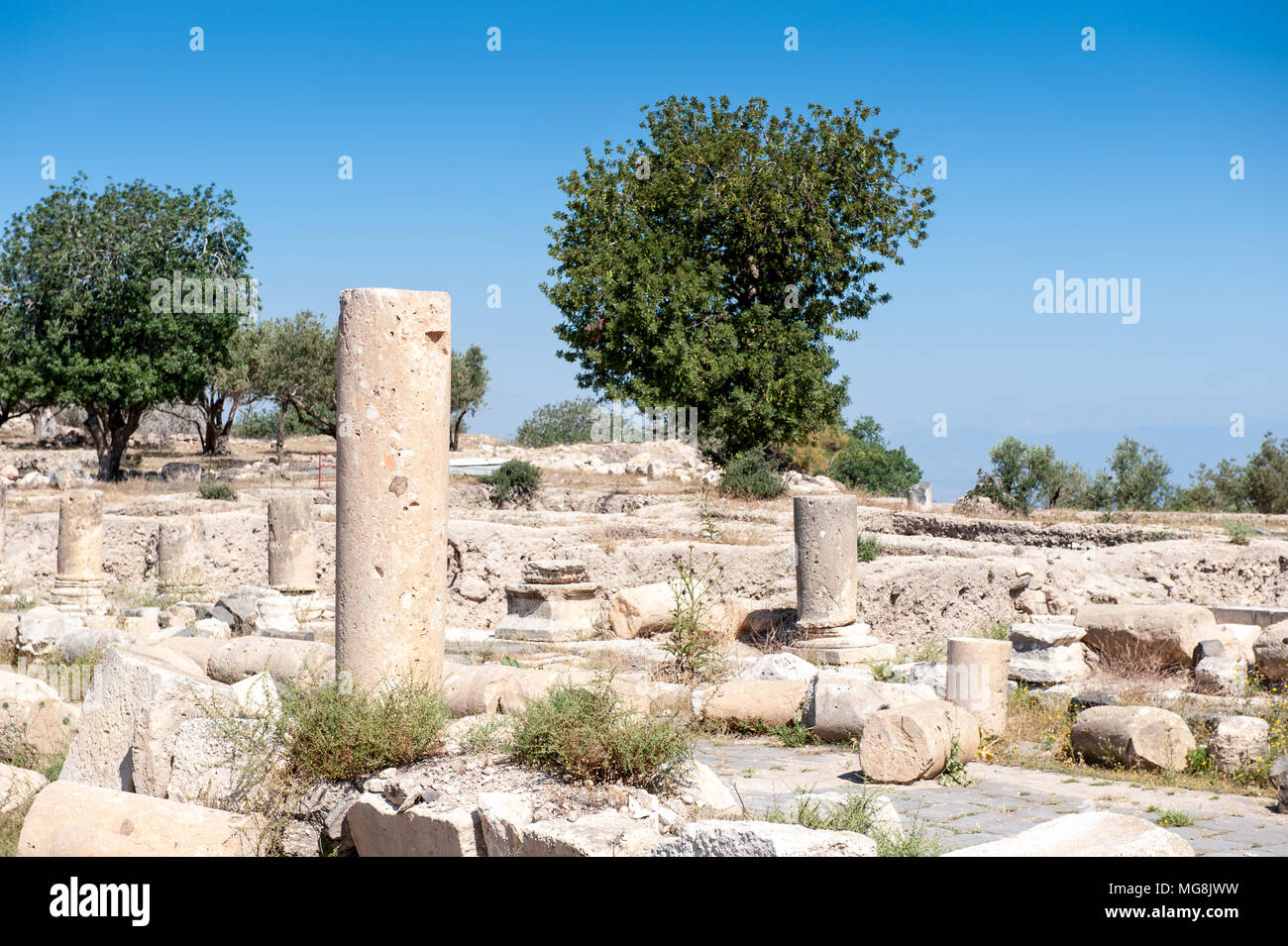 Gadara park hi-res stock photography and images - Alamy