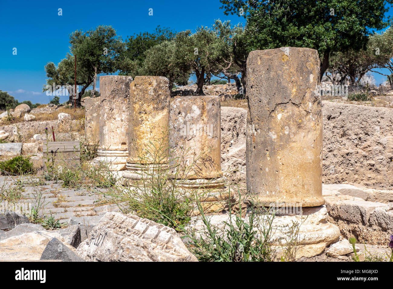 Gadara park hi-res stock photography and images - Alamy