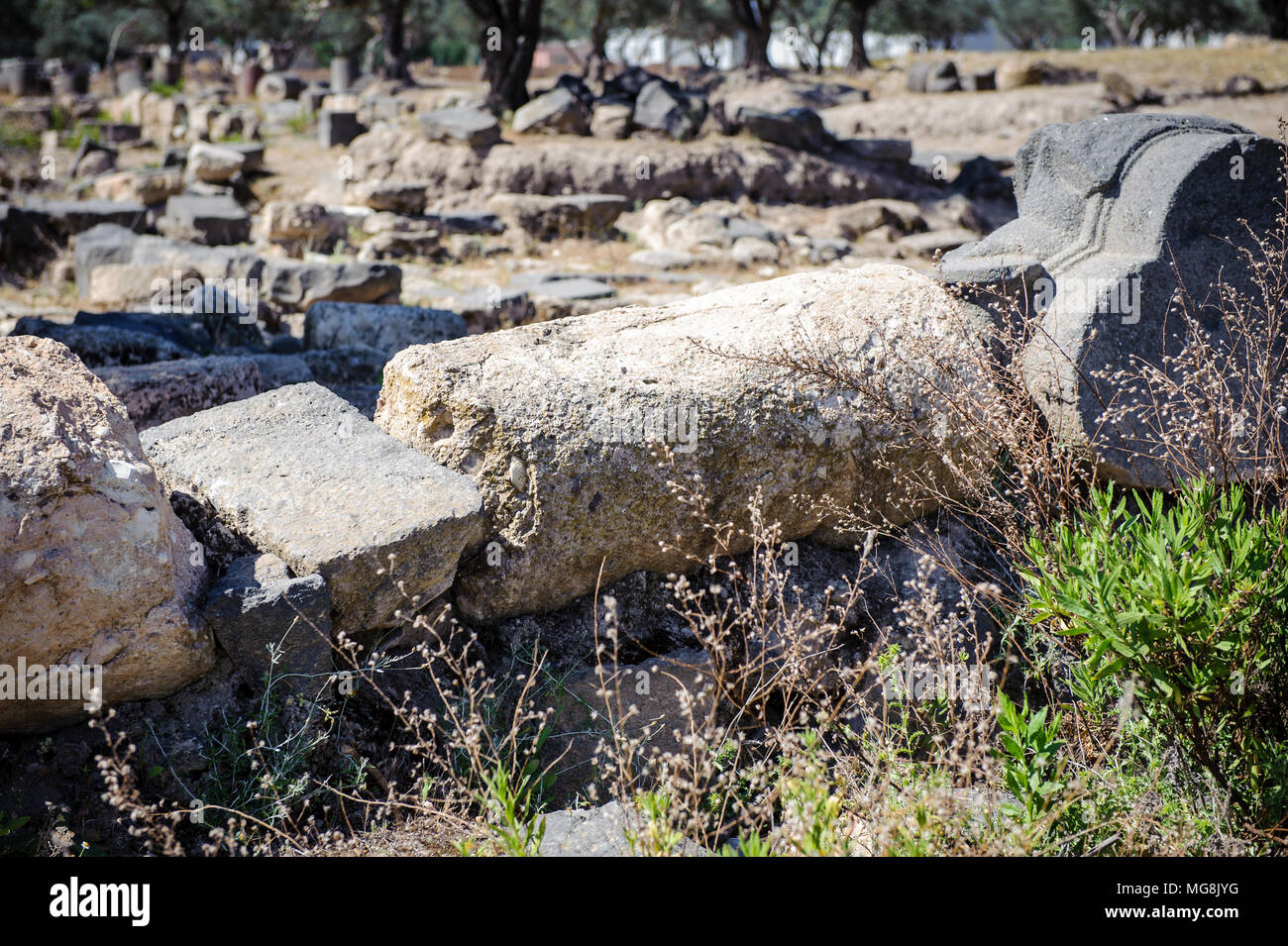 Gadara park hi-res stock photography and images - Alamy
