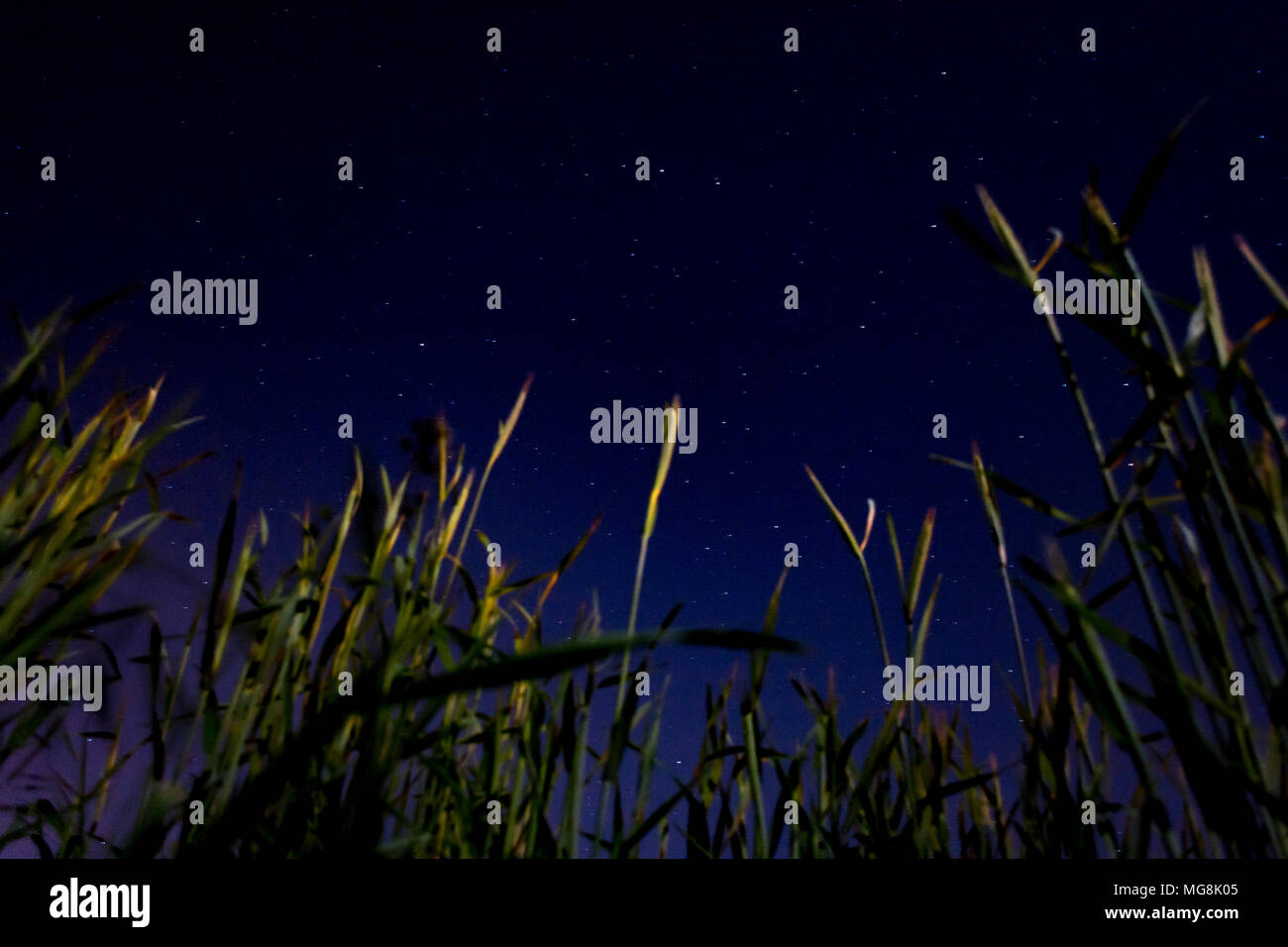 Starry night landscape, night background at Ullo , Hungary Stock Photo ...