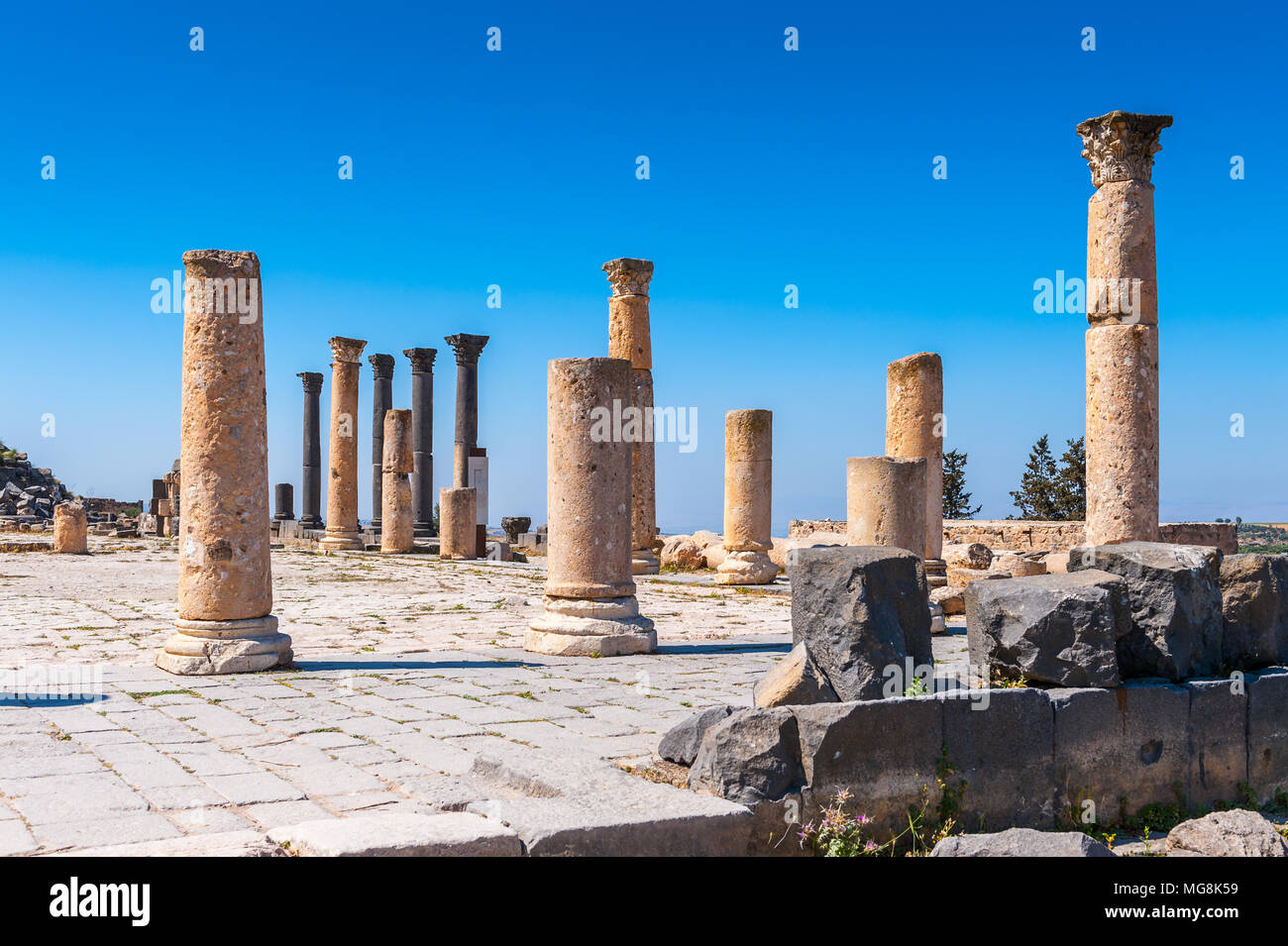 Roman colums of the ancient city of Gadara, modern Jordan Stock Photo ...