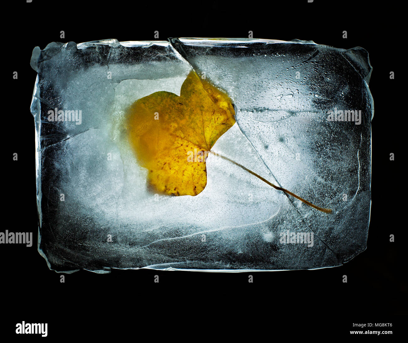 Encapsulated High Resolution Stock Photography and Images - Alamy