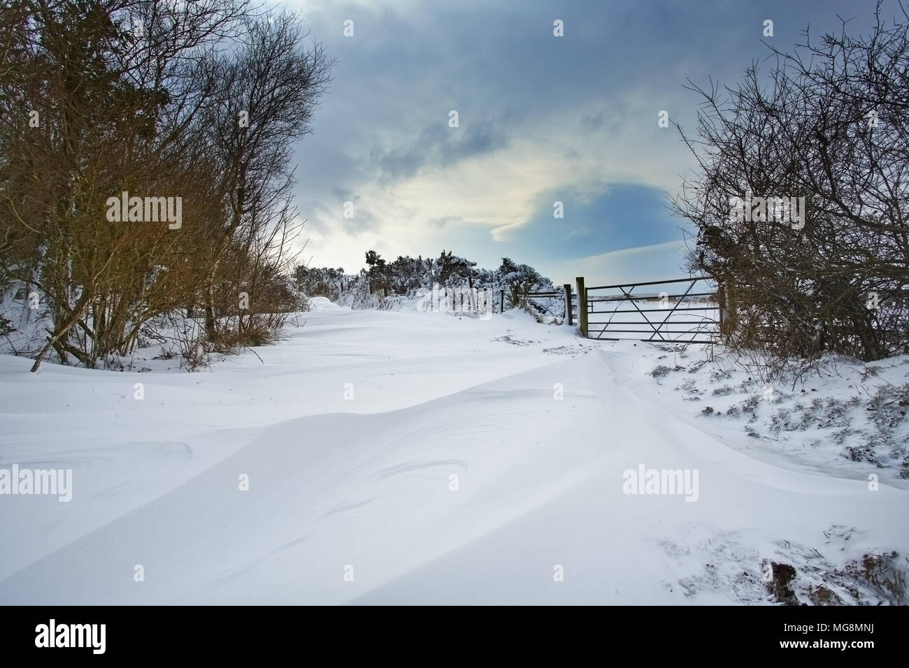 Dartmoor snow hi-res stock photography and images - Alamy