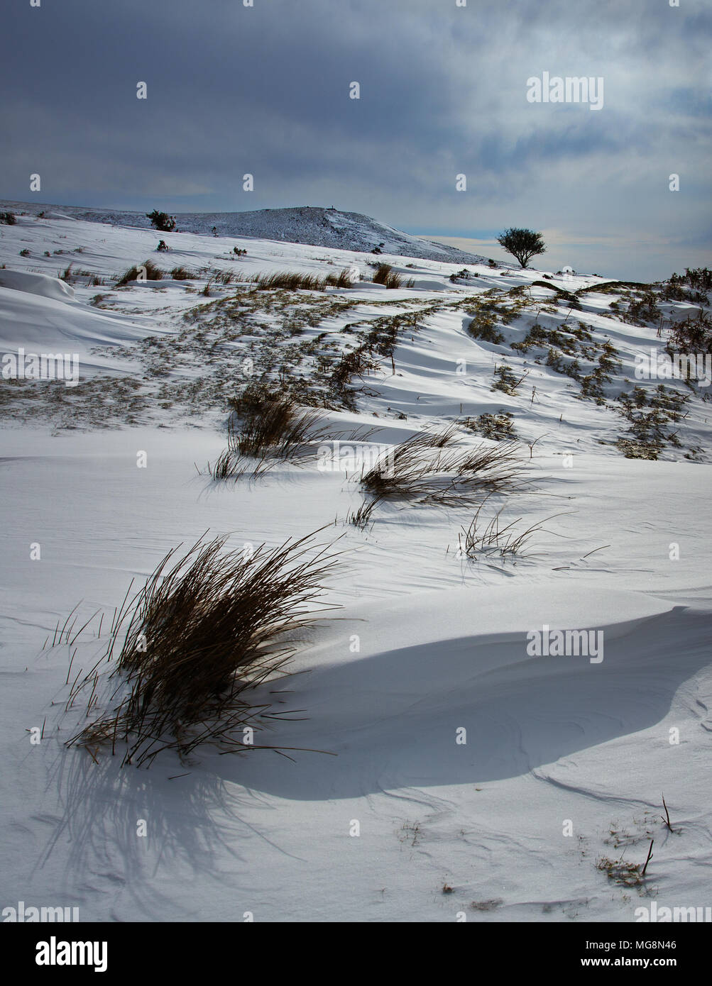 Dartmoor snow hi-res stock photography and images - Alamy