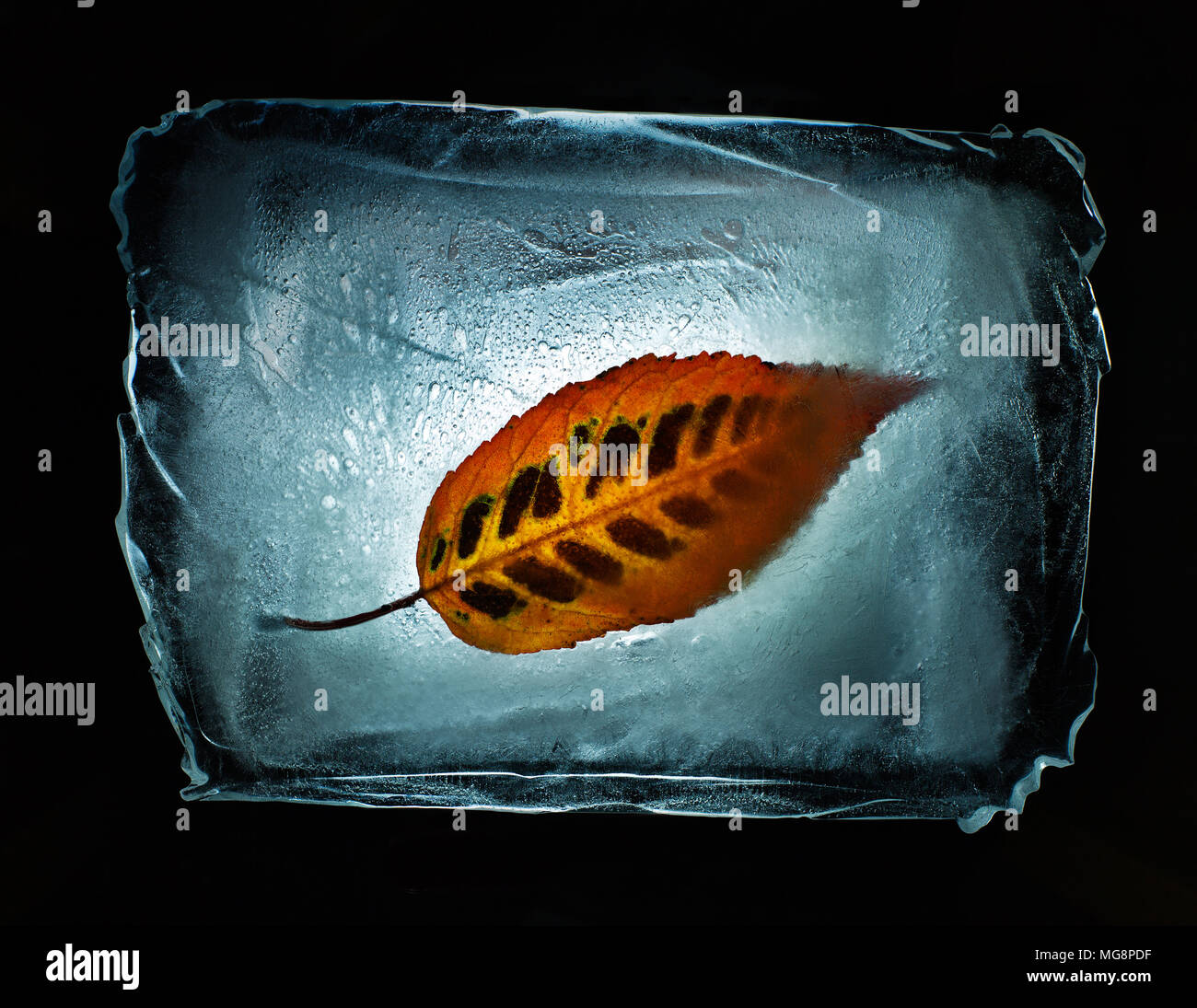 Encapsulated High Resolution Stock Photography and Images - Alamy