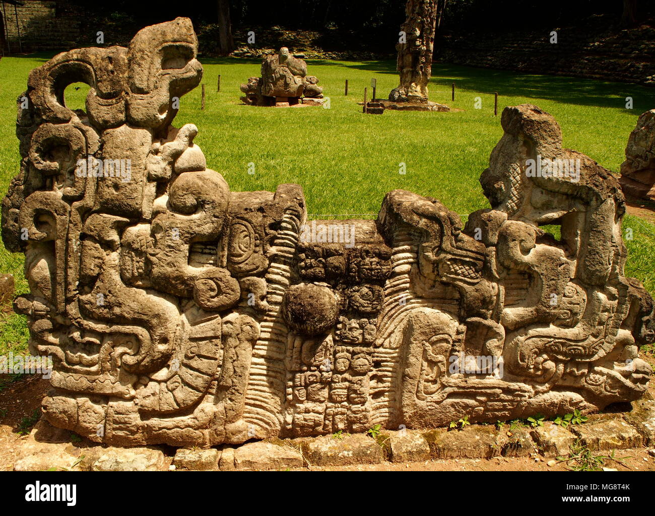 Archeological site of Copan in Honduras Stock Photo - Alamy