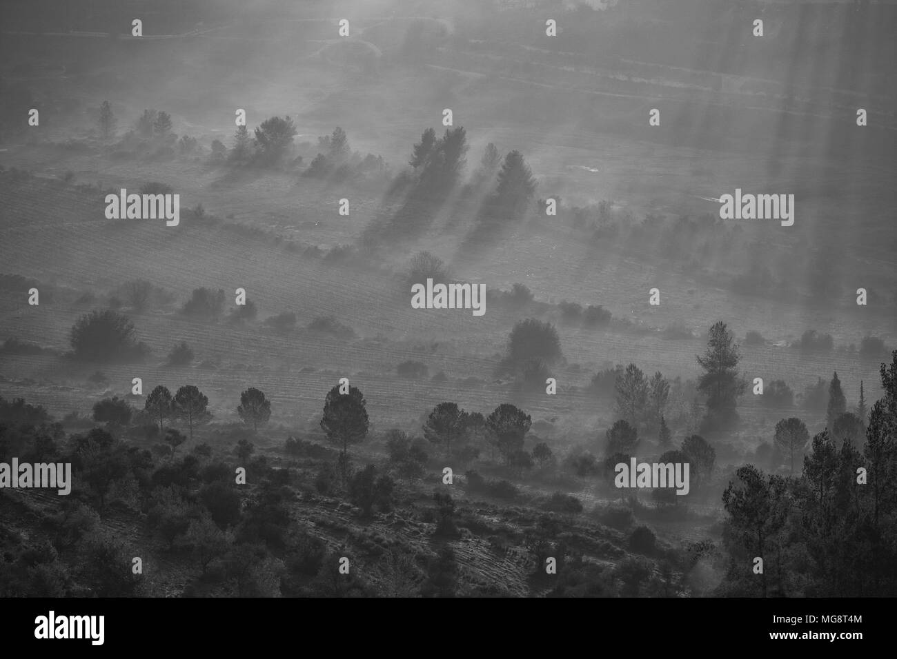 A country landscape at dawn in black and white Stock Photo - Alamy