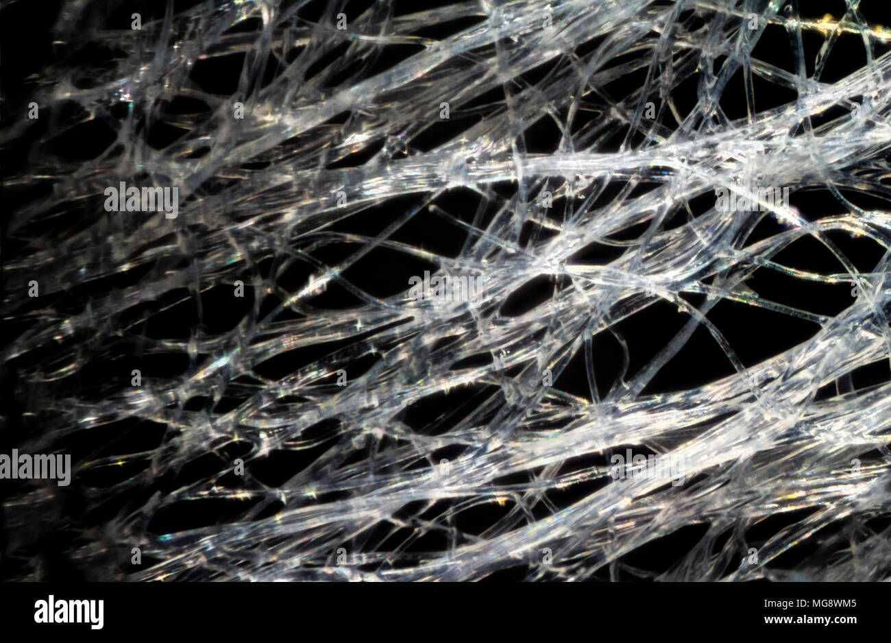 Woven fabric detail microscope hi-res stock photography and images - Alamy