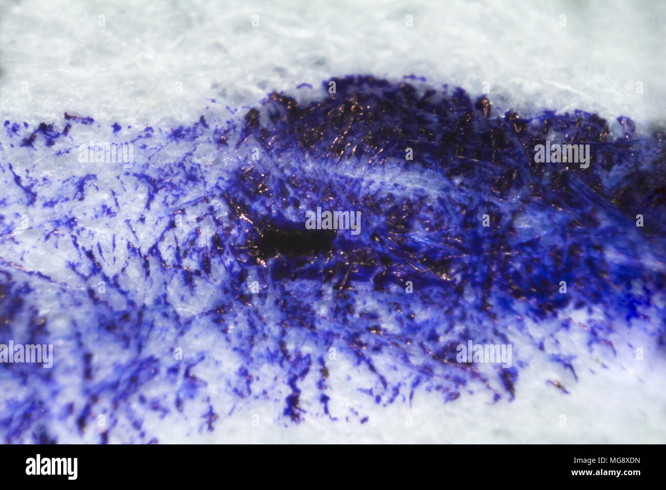 Dripping blue Ink on Paper under the microscope. The paper absorbs blue ...