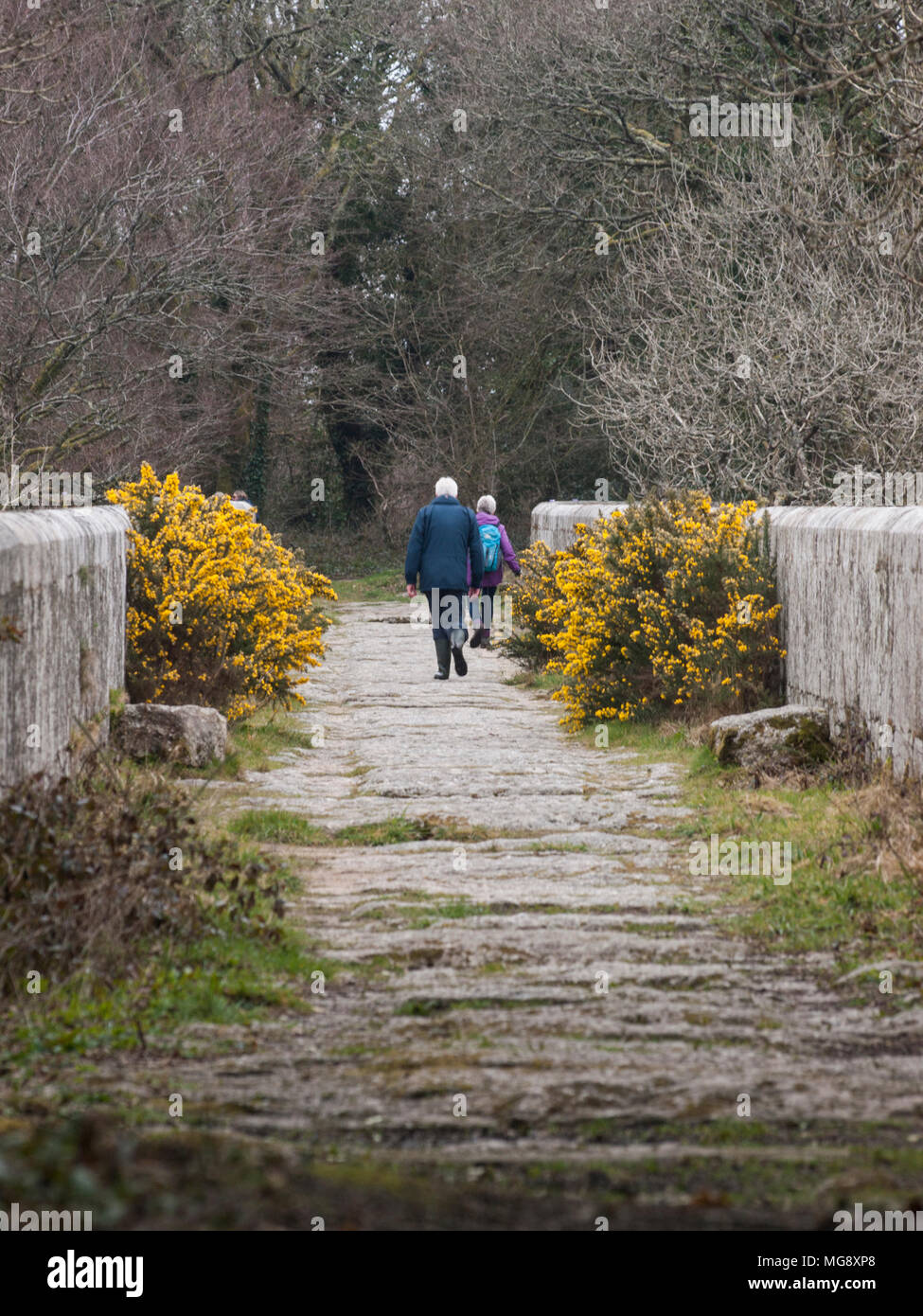 Treffry Viaduct in Luxulyan valley, Cornwall Stock Photo - Alamy