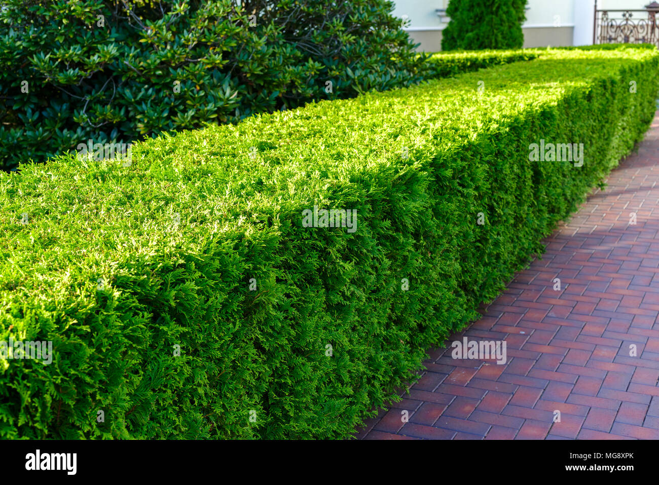 Decorative border shape hi-res stock photography and images - Alamy