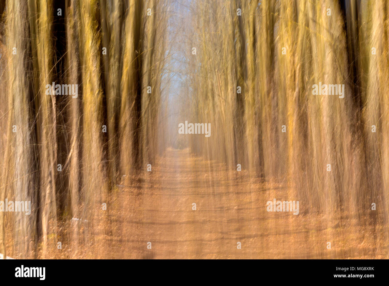 Abstract motion blurred hi-res stock photography and images - Alamy