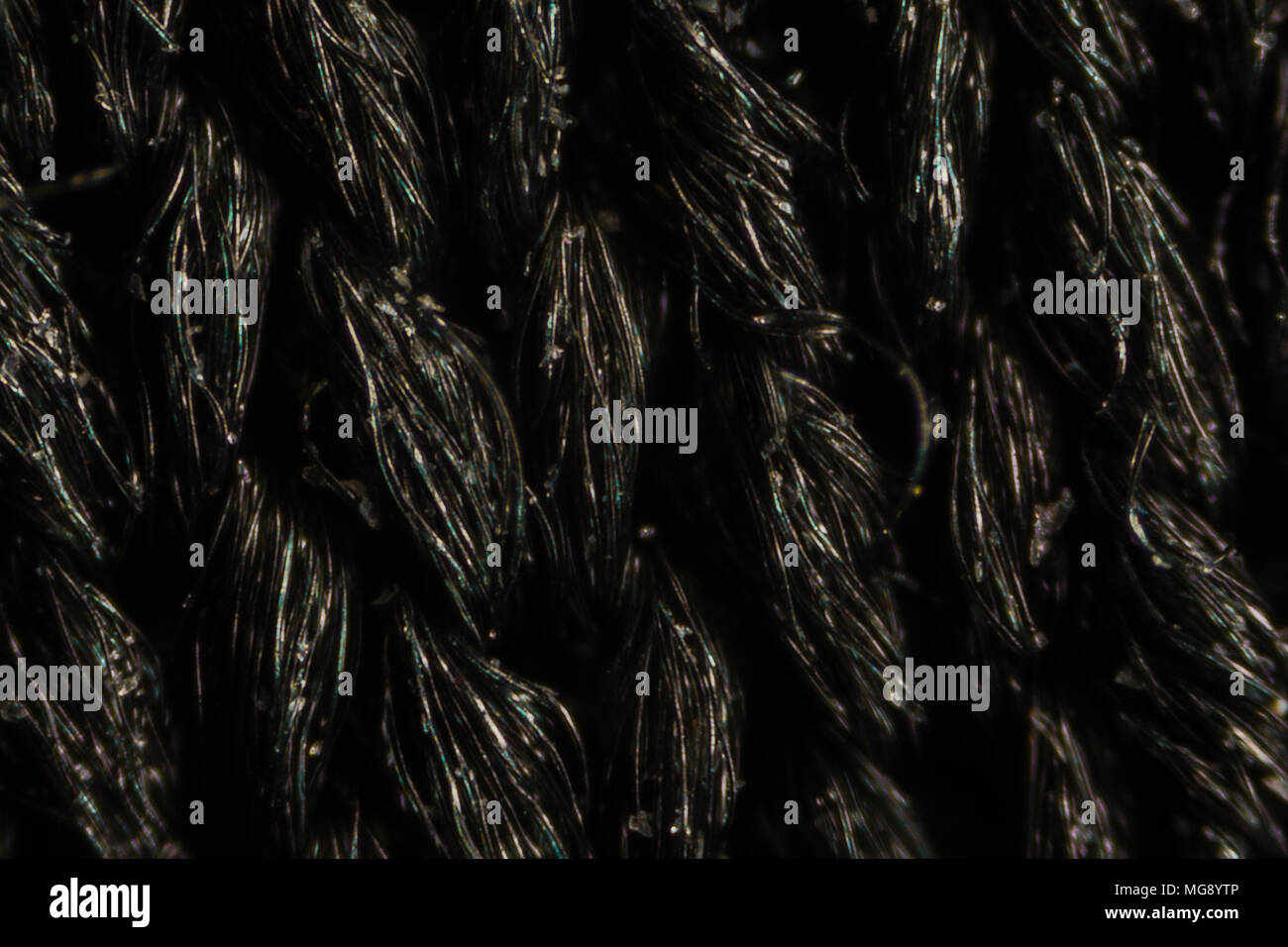 Black nylon mesh cloth fibers under the microscope Stock Photo - Alamy