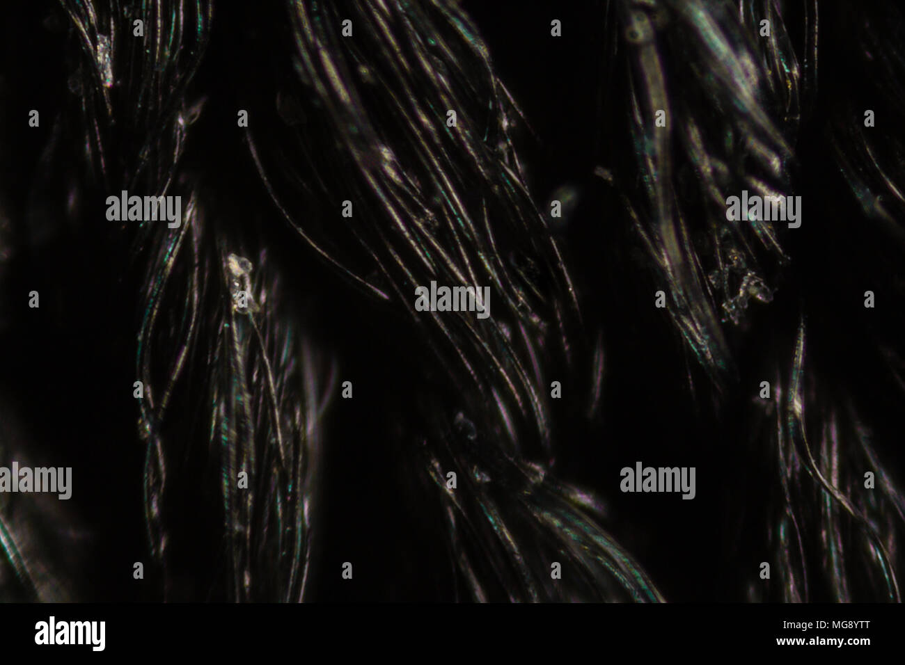 Weave microscope hi-res stock photography and images - Alamy