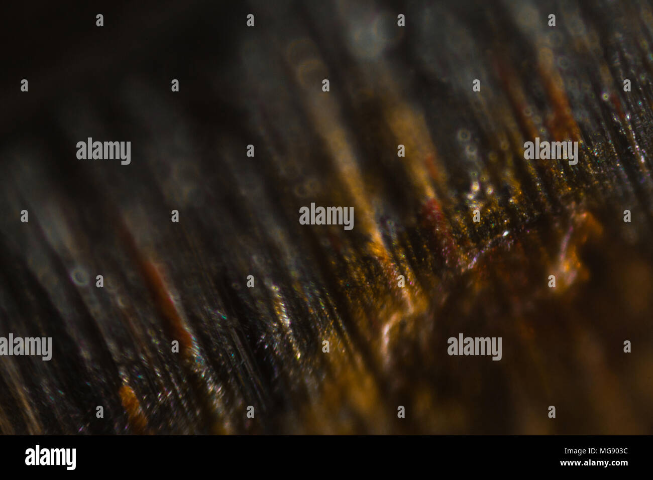 Stainless steel under microscope hi-res stock photography and images ...