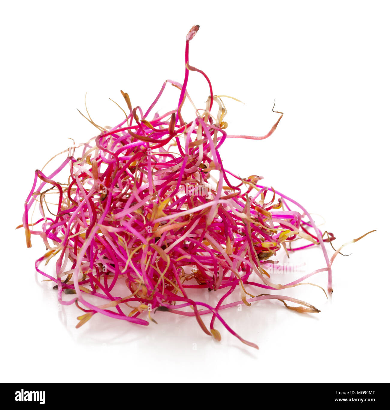bunch of sprouted seeds of beetroot on white background Stock Photo - Alamy
