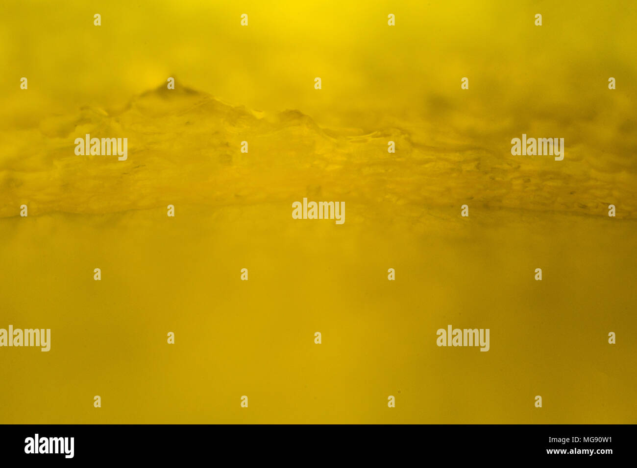 Yellow pepper under the microscope Stock Photo - Alamy