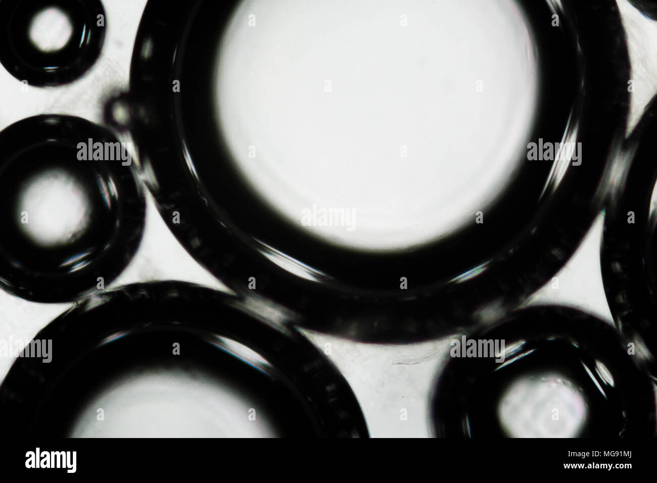 Water bubbles under the microscope Stock Photo - Alamy
