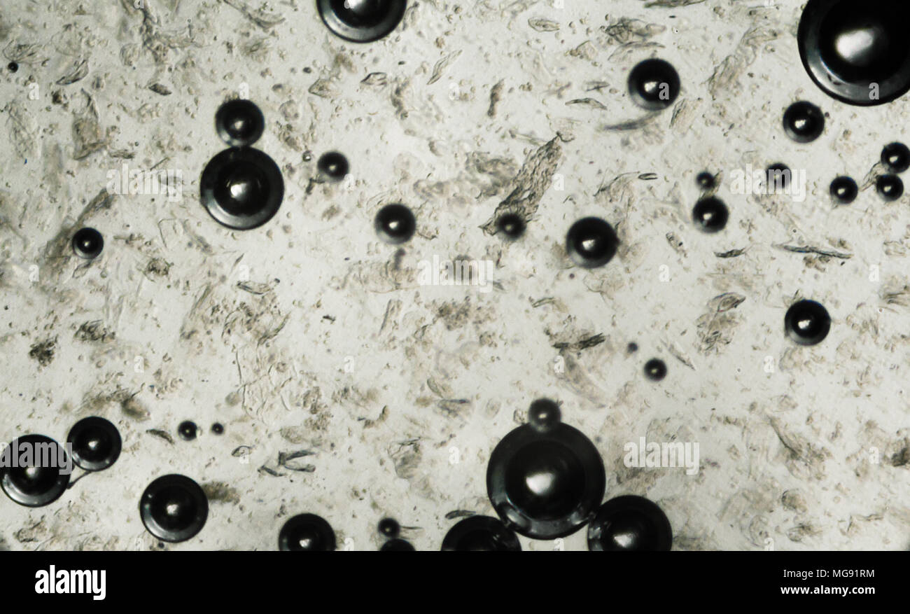 Water bubbles under the microscope Stock Photo - Alamy