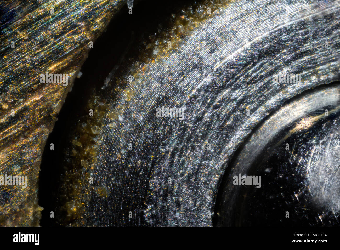 Coin macro microscope hi-res stock photography and images - Alamy