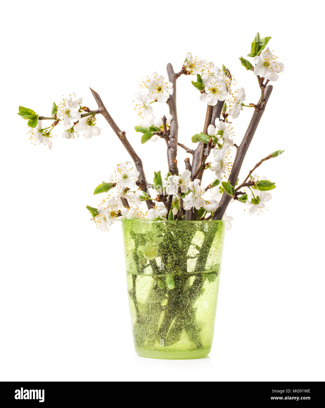 Cherry blossom in spring on Cut Out Stock Images & Pictures - Alamy