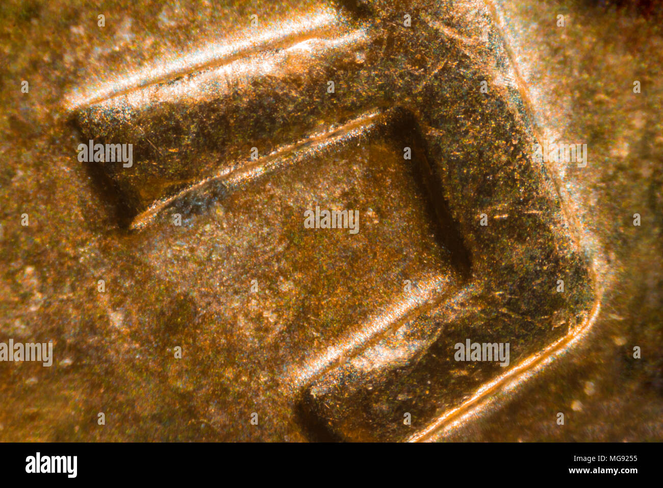 Coin macro microscope hi-res stock photography and images - Alamy