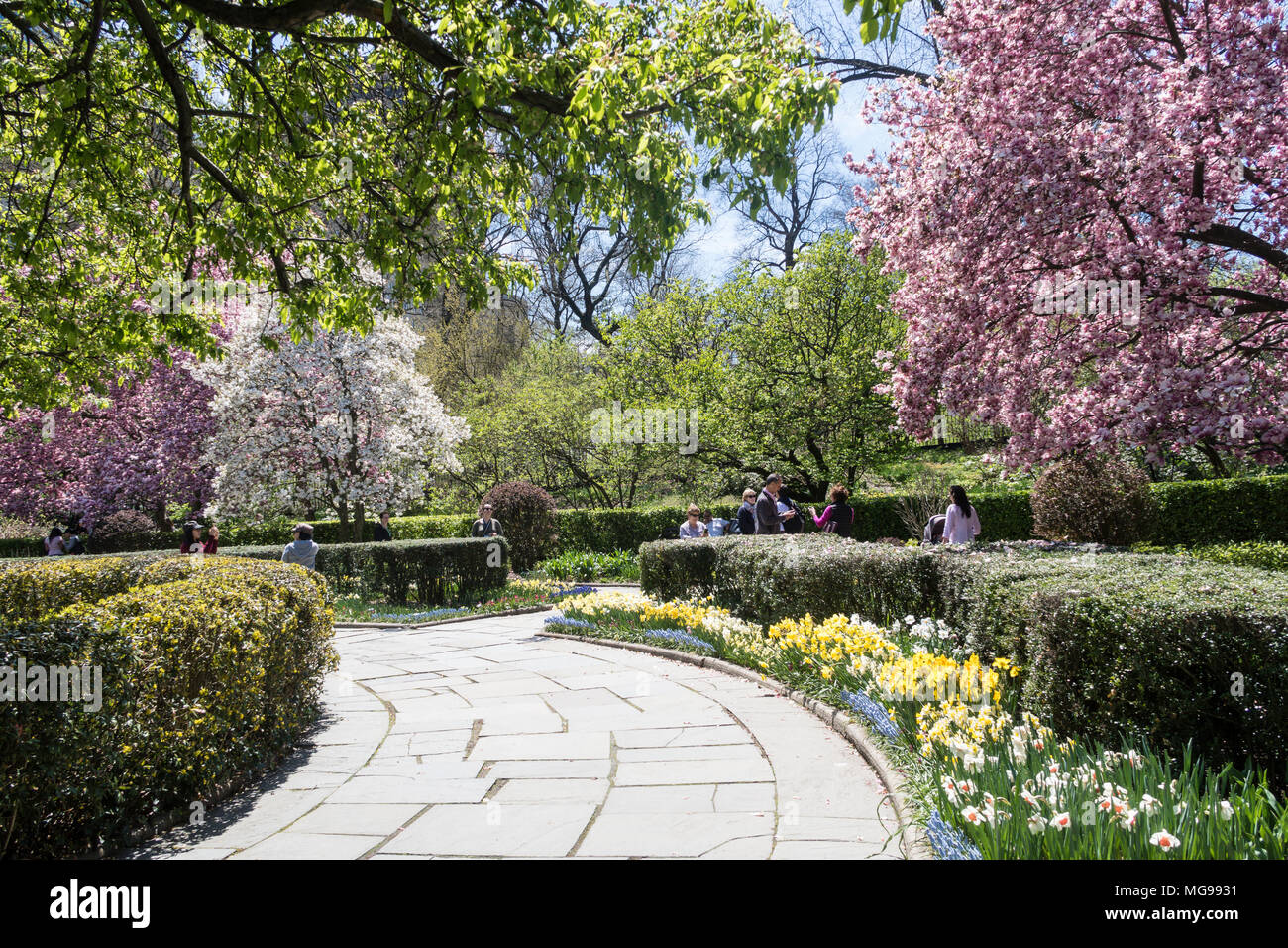 The Conservatory Garden at Springtime is Colorful, Central Park, NYC ...