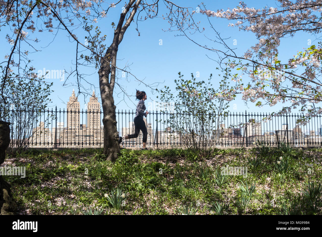 Female runner public park hi-res stock photography and images - Alamy