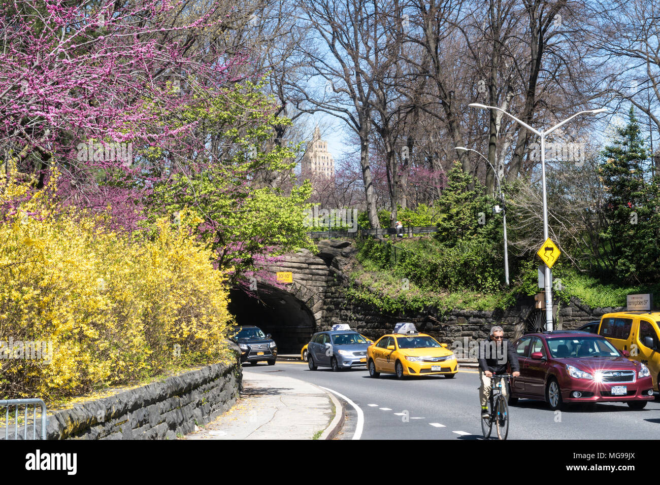 Traffic on the 86th Street Transverse through Central Park, NYC, USA ...
