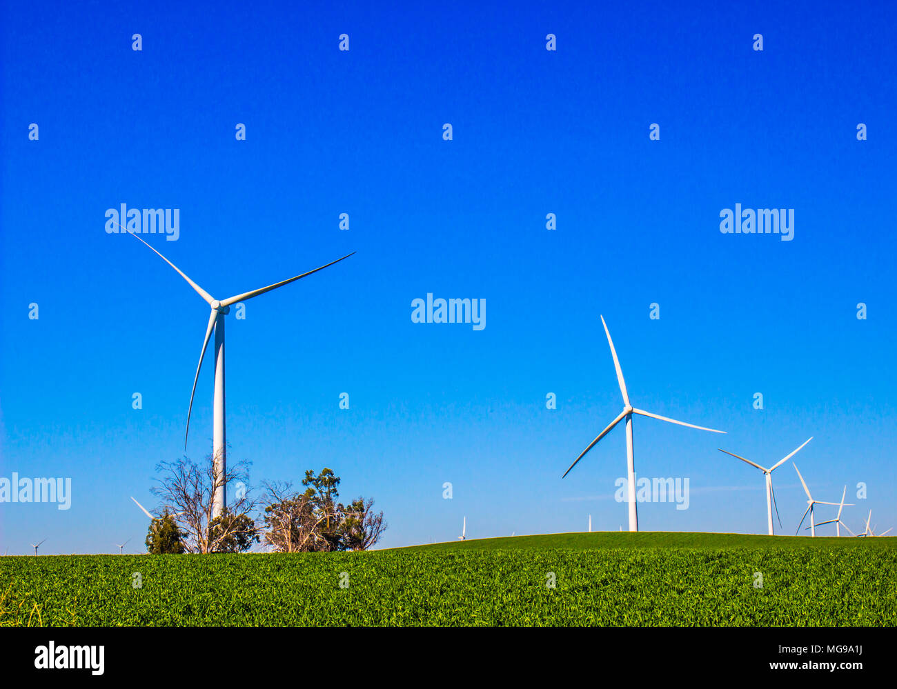 Tall windmills on farm hi-res stock photography and images - Alamy