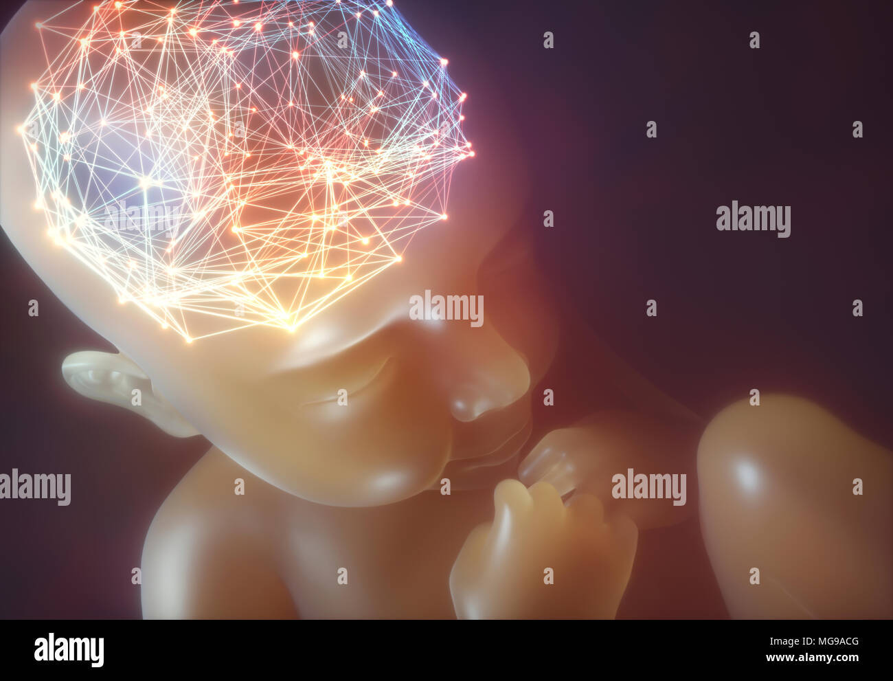 Baby's neural network, conceptual illustration Stock Photo - Alamy Baby's neural network, conceptual illustration Stock Photo - Alamy