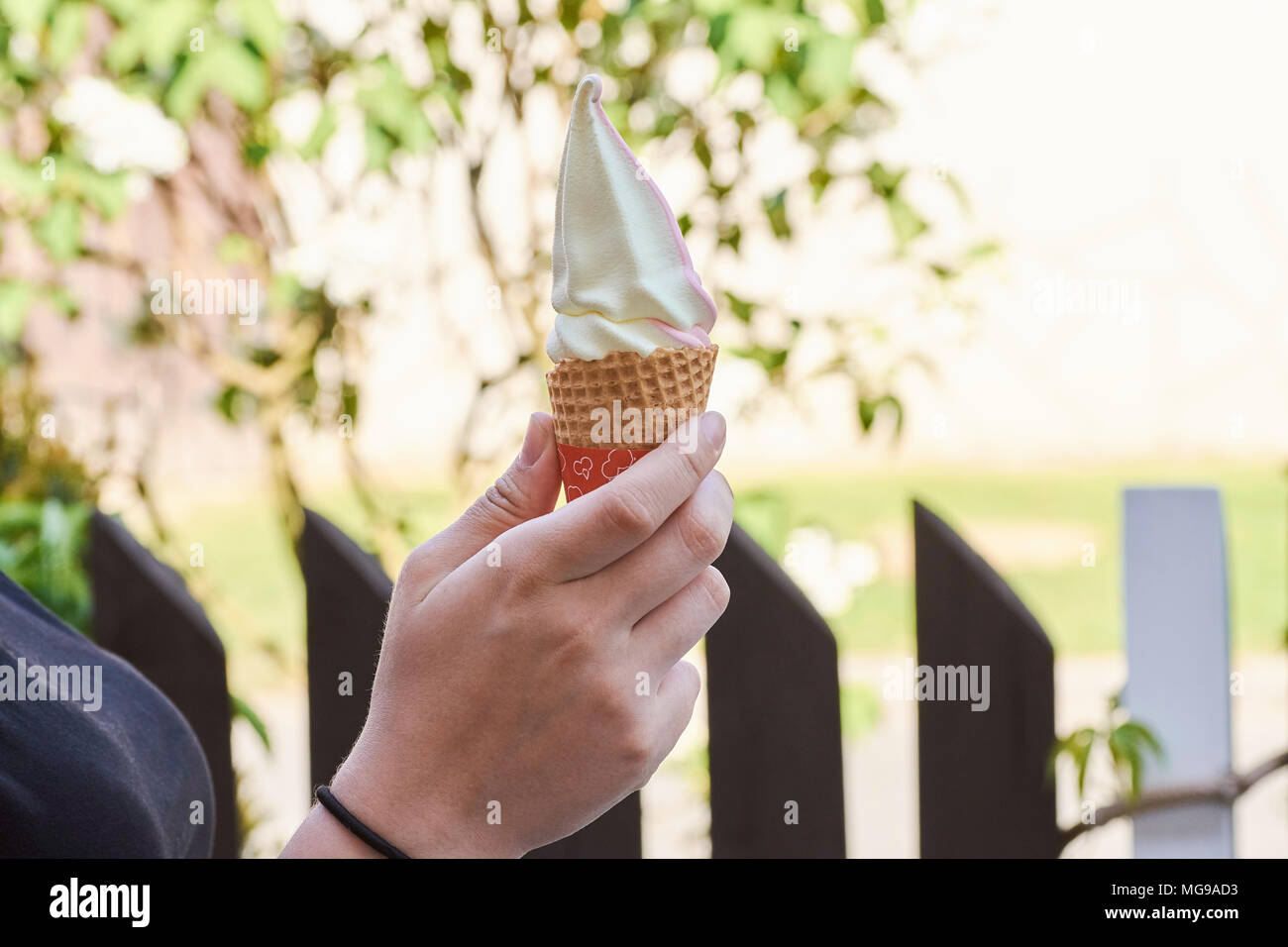 Hand ice cream hi-res stock photography and images - Alamy