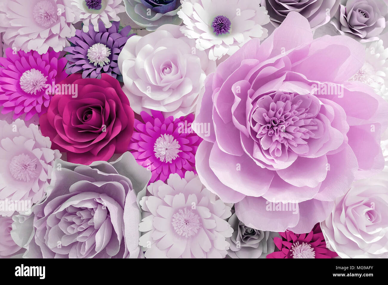 Beautiful paper flowers background Stock Photo - Alamy