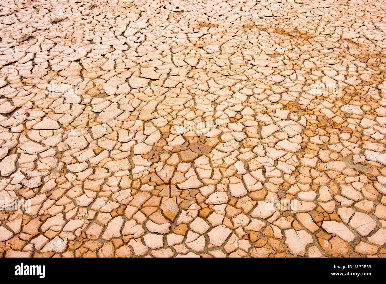 Soil and environment hi-res stock photography and images - Alamy