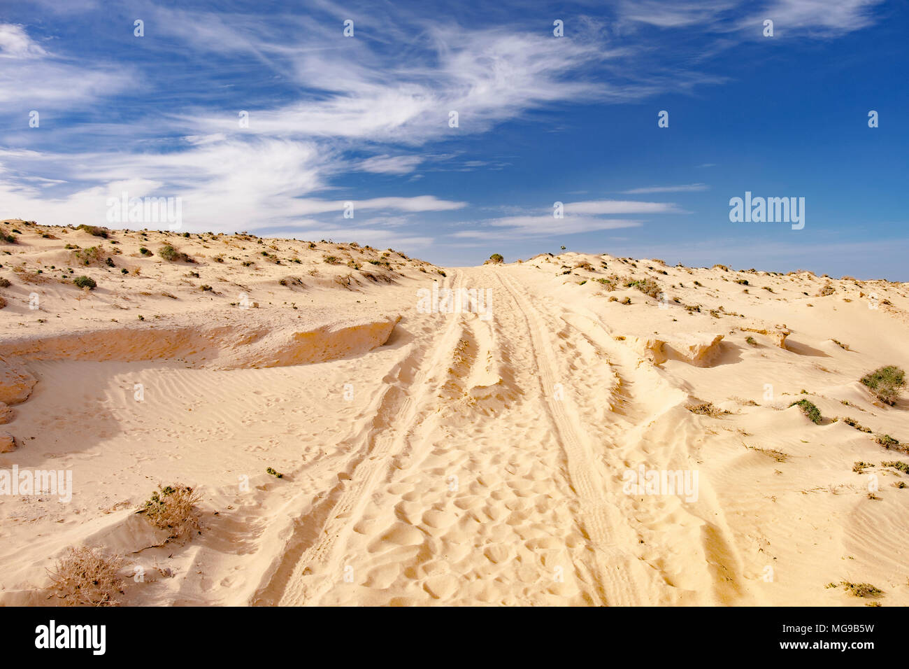 Desert track hi-res stock photography and images - Alamy