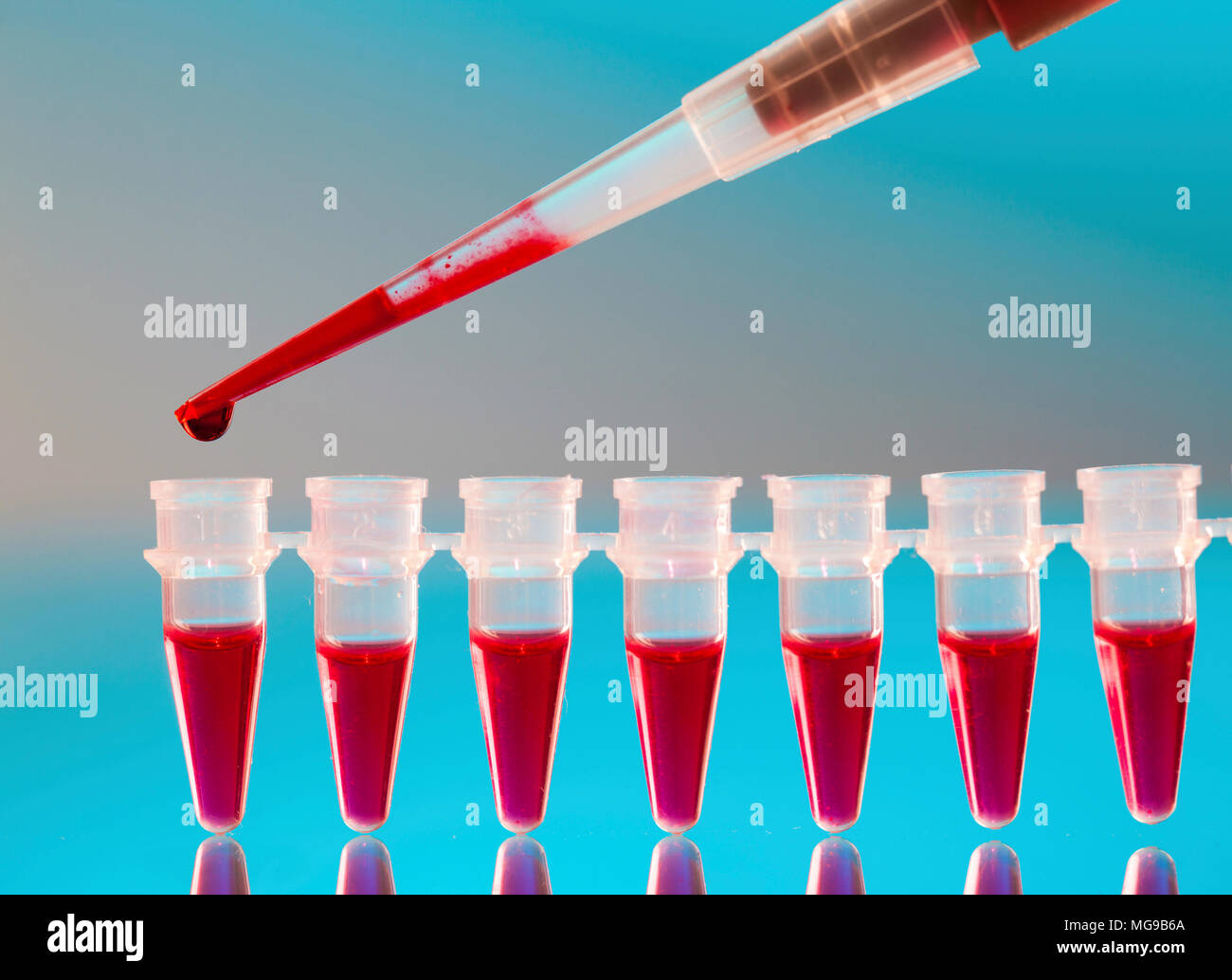 Micropipette Strip High Resolution Stock Photography and Images - Alamy
