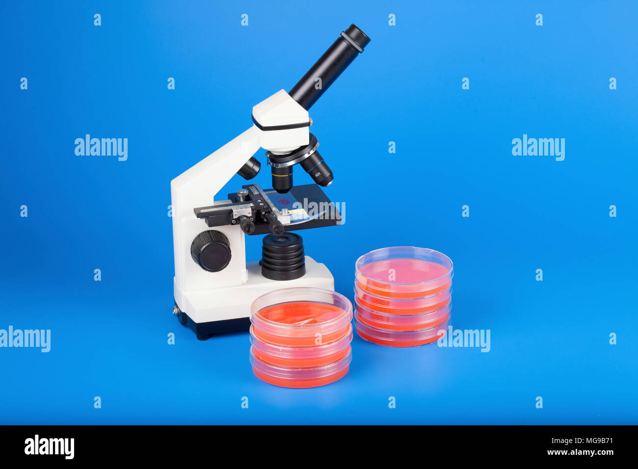 Microbiology microscope hi-res stock photography and images - Alamy
