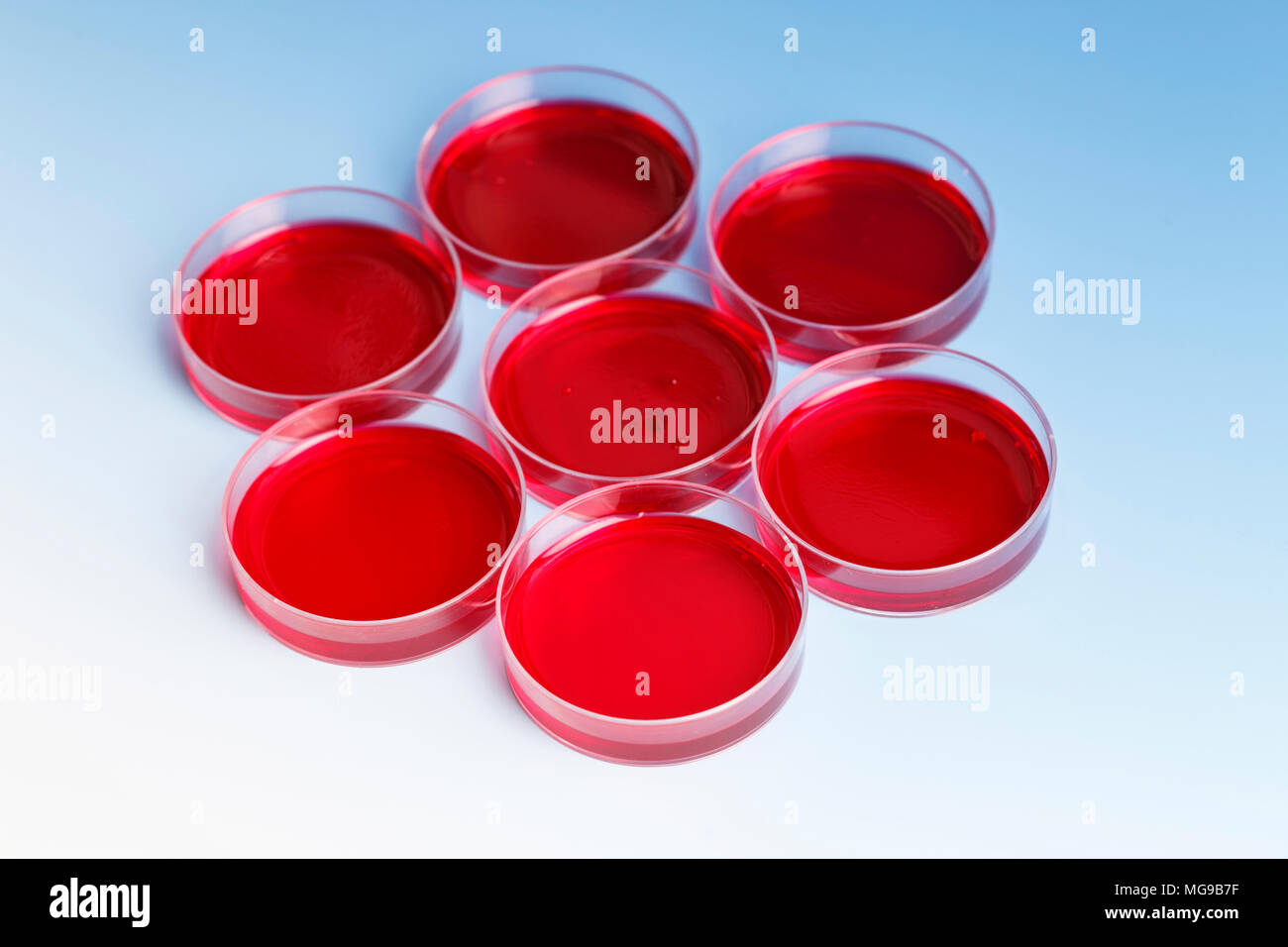 Research lab blood hi-res stock photography and images - Alamy