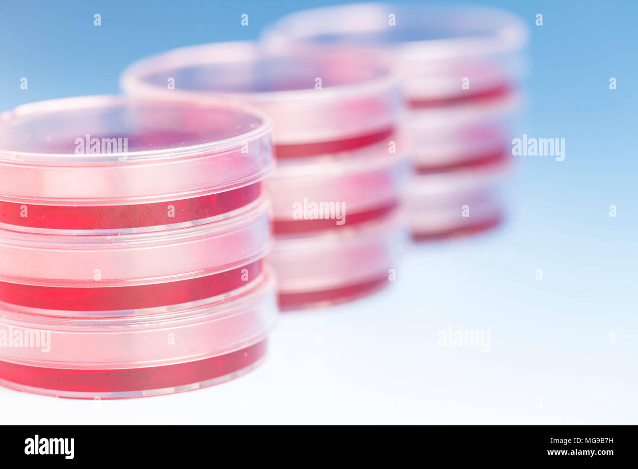 Biological assay hi-res stock photography and images - Alamy