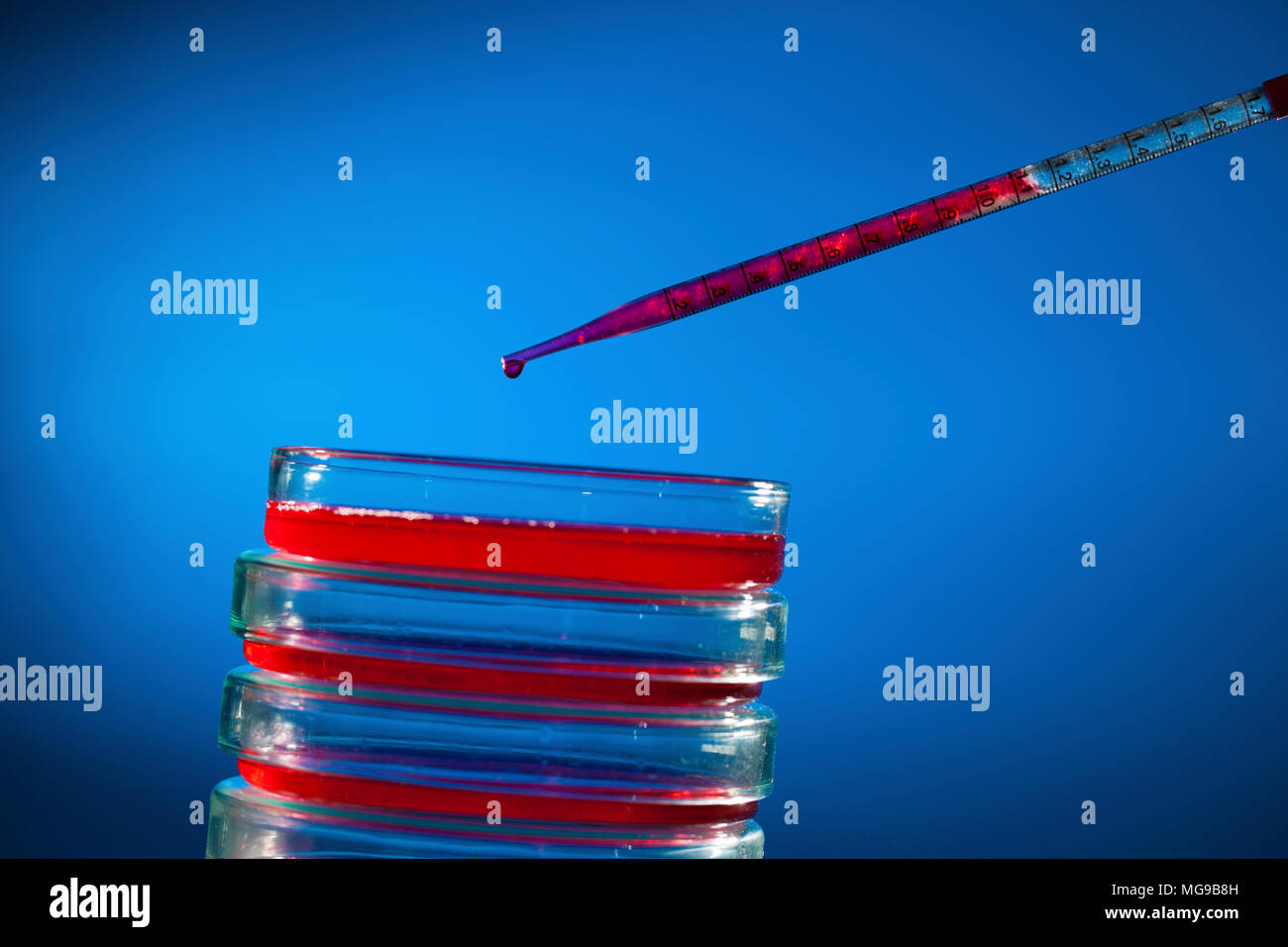 Hematology research hi-res stock photography and images - Alamy