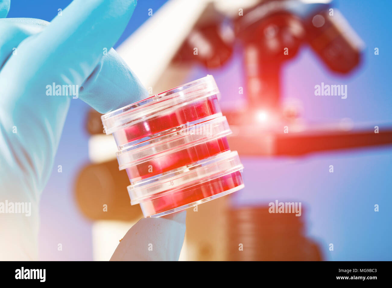 Research lab equipment hi-res stock photography and images - Alamy