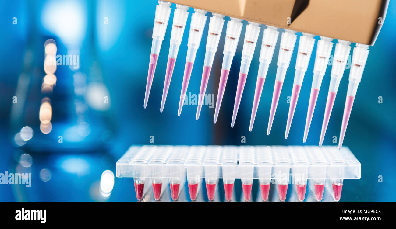 Multichannel pipette sample hi-res stock photography and images - Alamy
