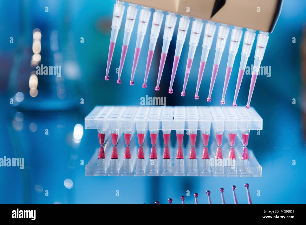 Multichannel pipette sample hi-res stock photography and images - Alamy